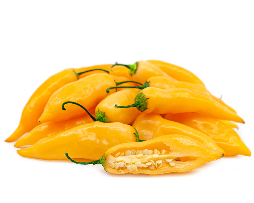 Piments Forts – Serre St-Laz – Horticulture sur mesure! Piments forts ...